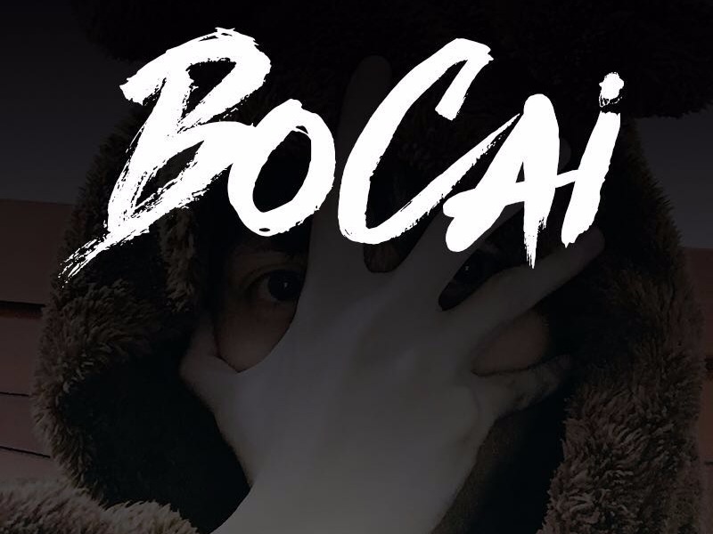 两款LCD平面效果 AI_菠菜阿_-站酷ZCOOL