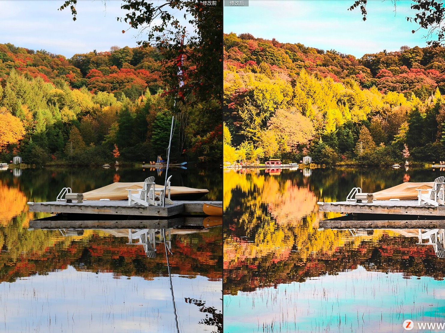 森林摄影光阴调整滤镜Lr预设_mac开心-站酷ZCOOL