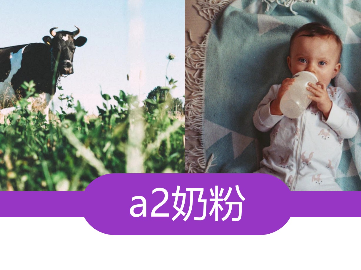 A2奶粉抖音蓝VKOL推广_墨染辰灰-站酷ZCOOL