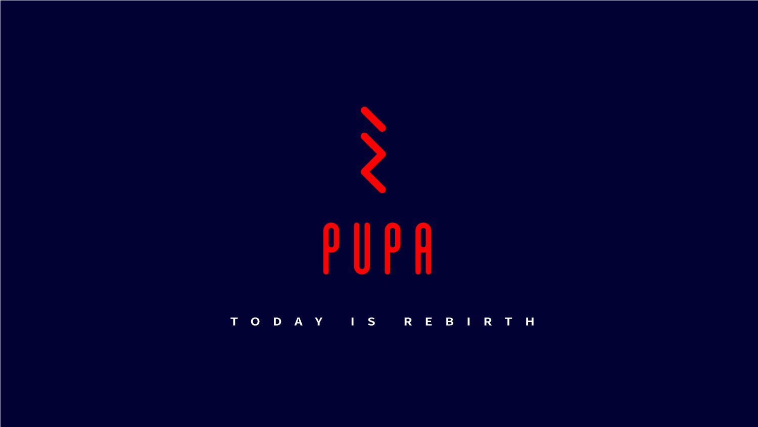 PUPA品牌视觉形象设计_叁略文化-站酷ZCOOL