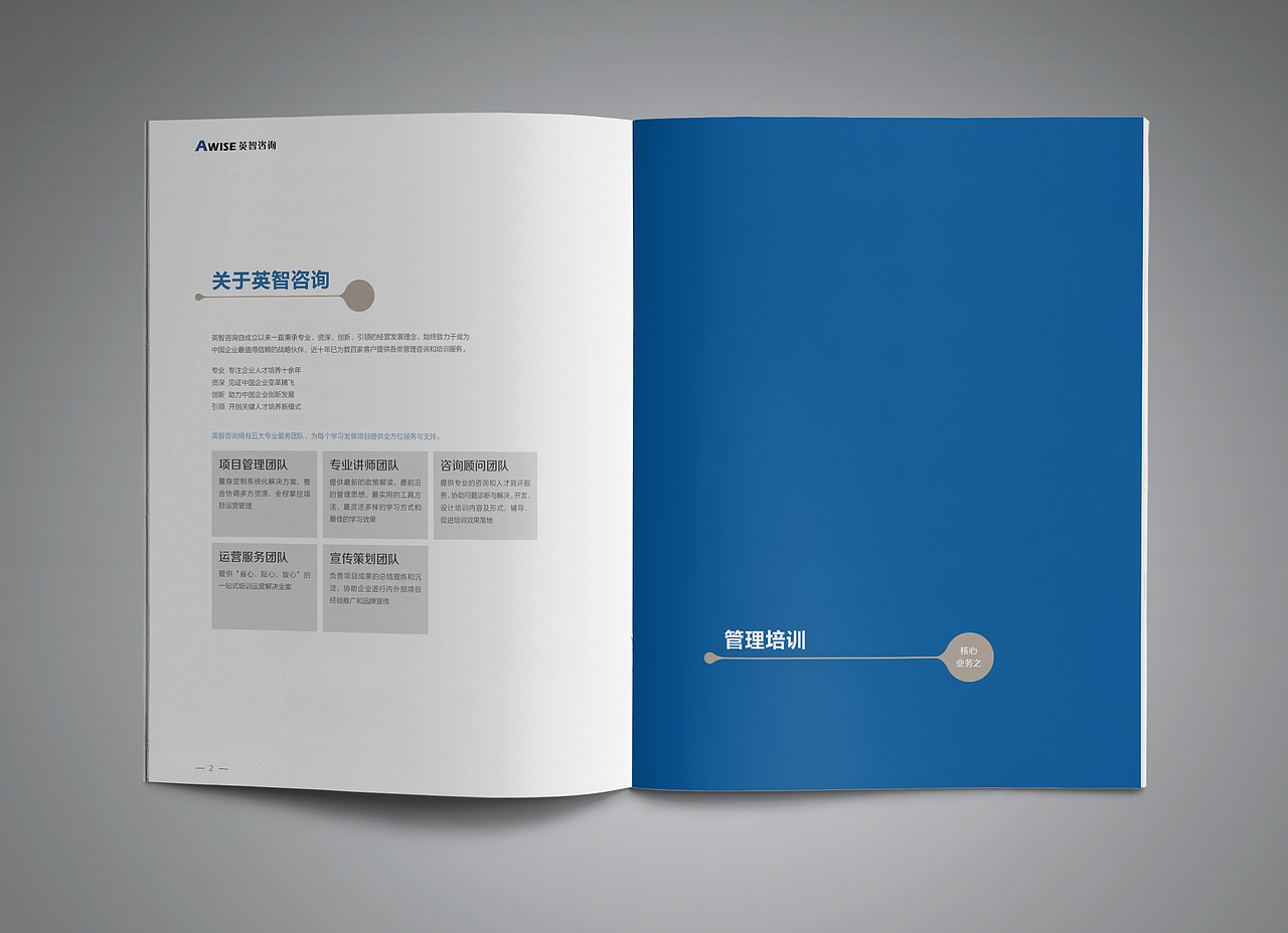 咨询公司产品手册设计|平面|书籍/画册|521汪落_原创作品-站酷ZCOOL