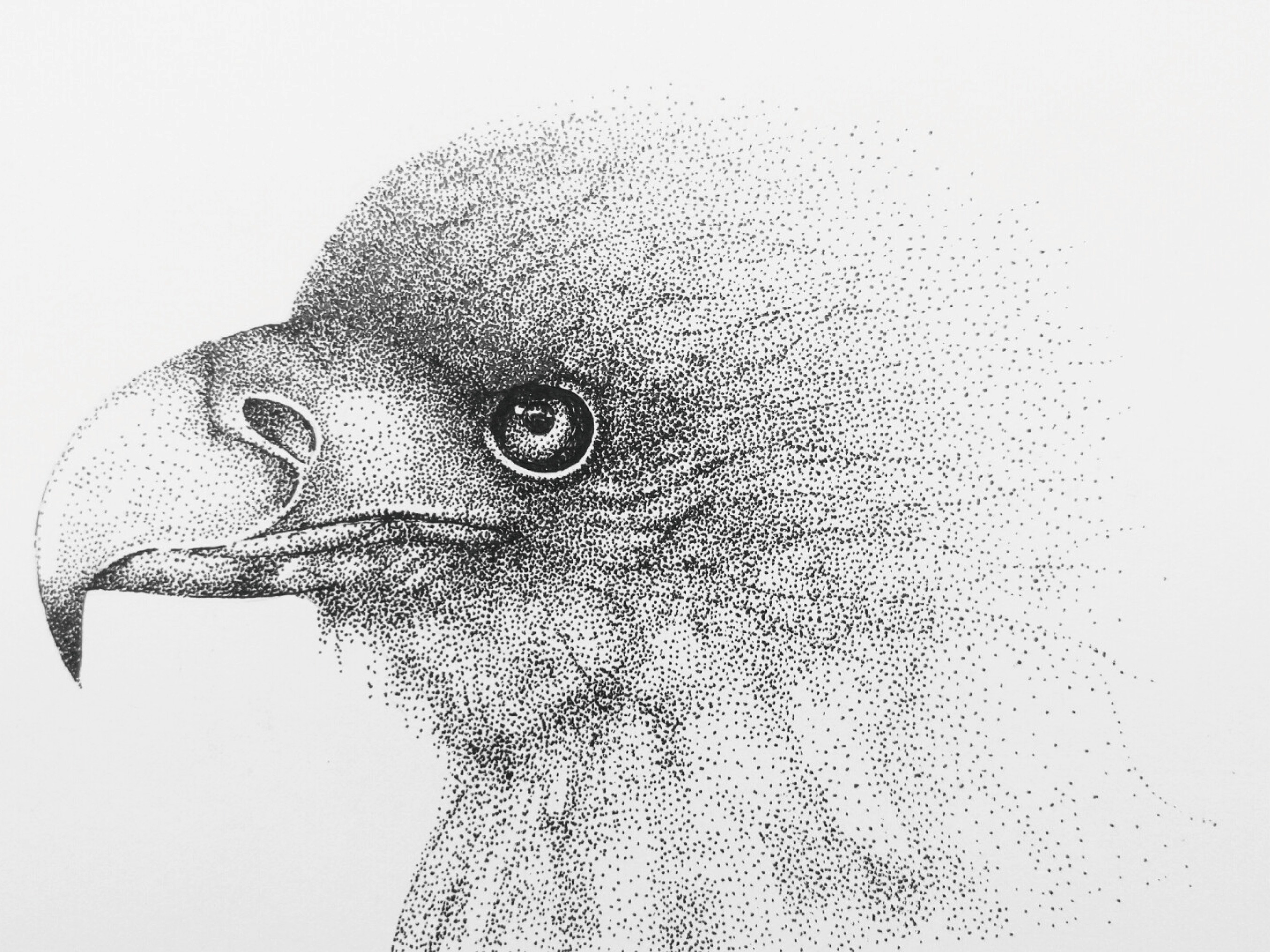 练习_TRAMP_GF-站酷ZCOOL