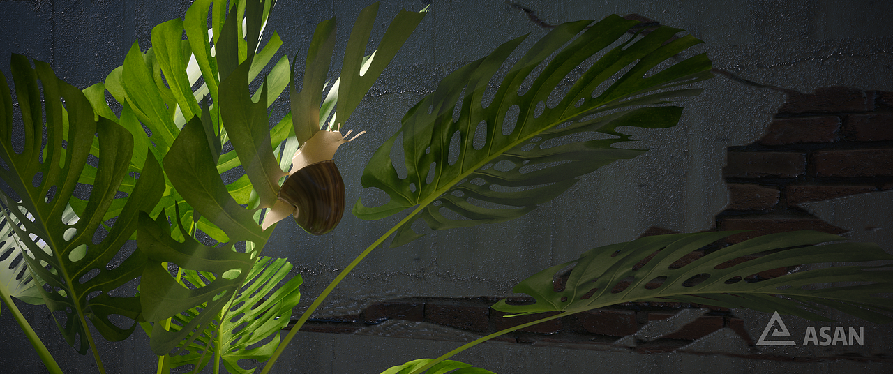 C4D写实渲染练习_动态设计师_ASan-站酷ZCOOL