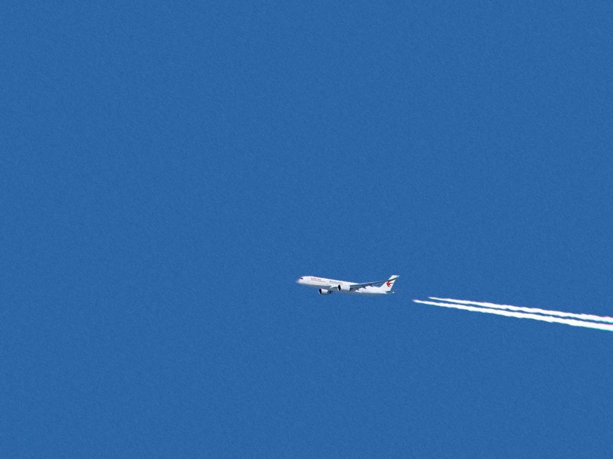 殇_ZMao只猫-站酷ZCOOL