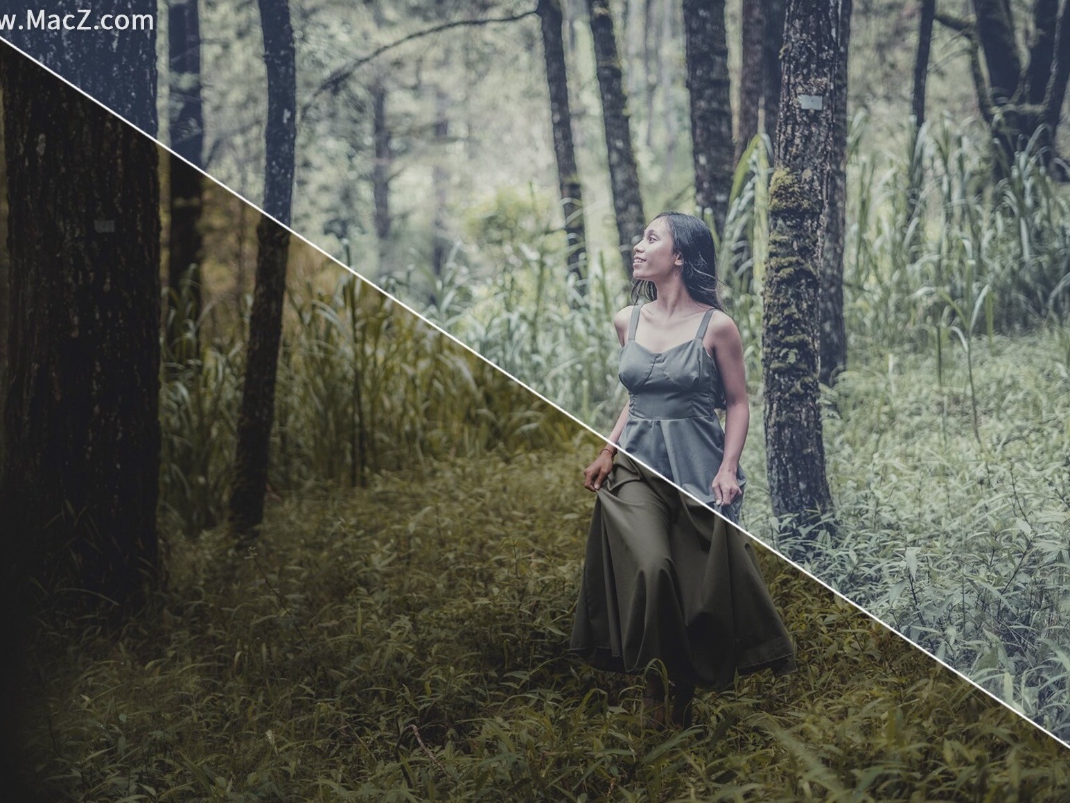 50个模特摄影高级哑光lr预设_柠檬吥萌-站酷ZCOOL