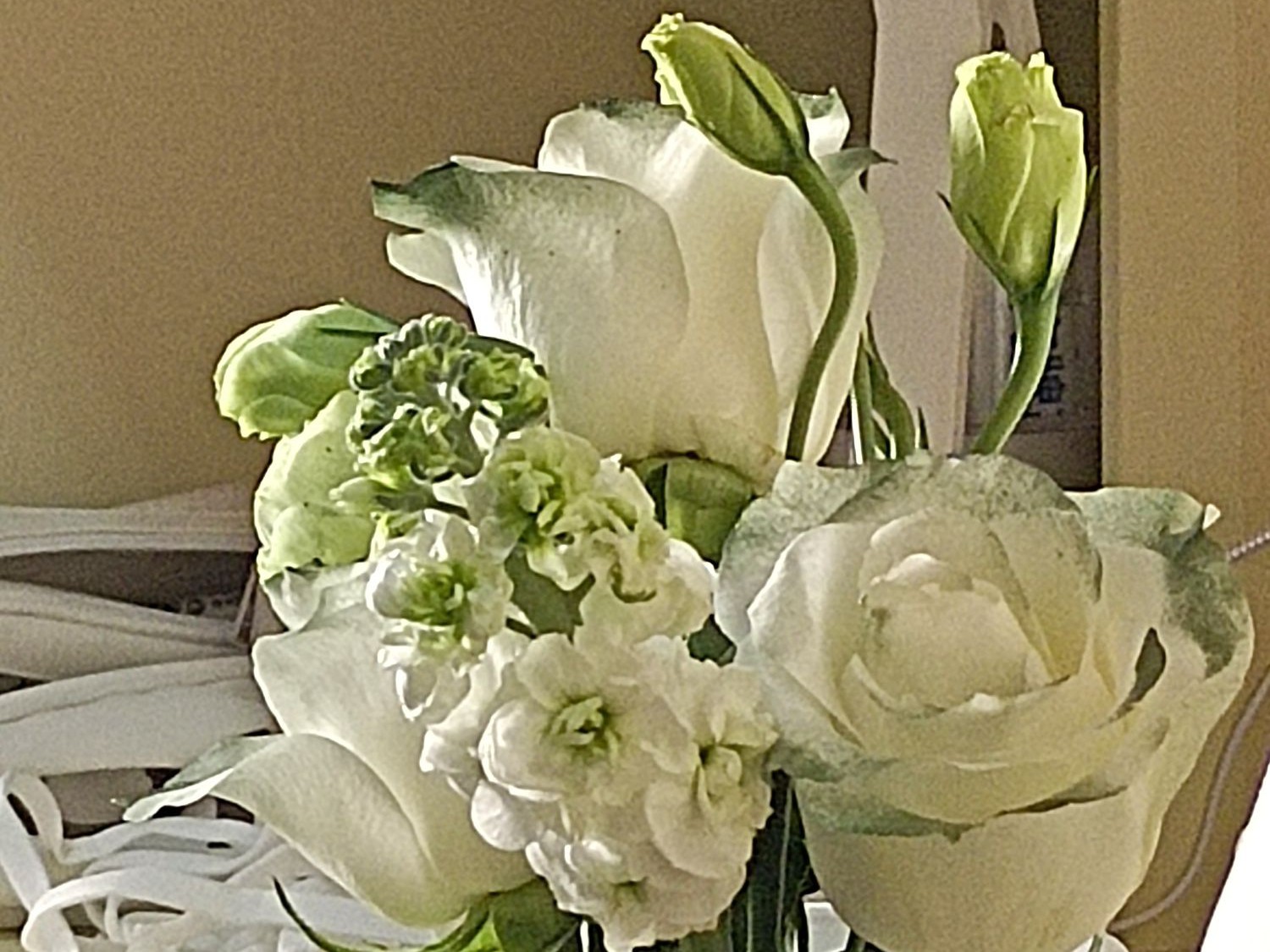 美好的事物_独独27-站酷ZCOOL