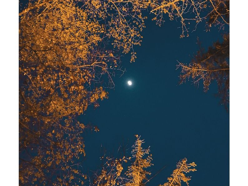 月下_PopCorn_HaHa-站酷ZCOOL