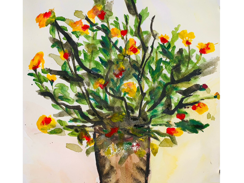 习作_慧elsa的涂鸦BLOG-站酷ZCOOL