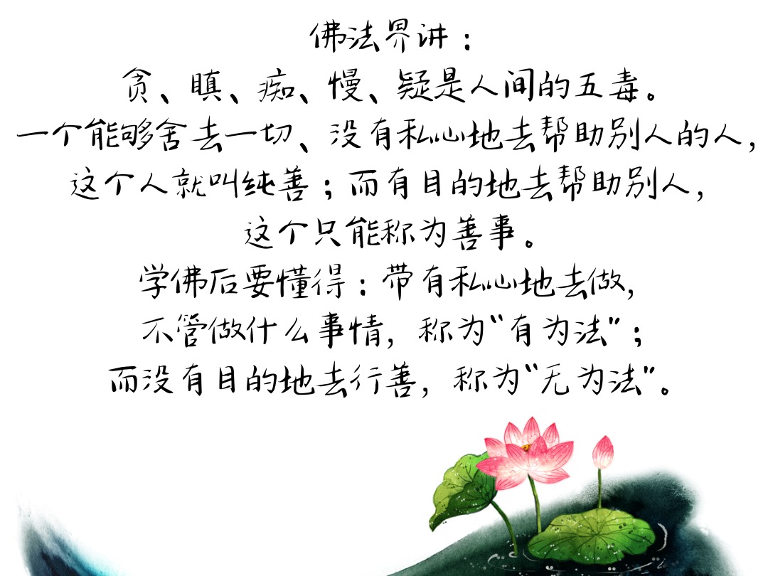 人生感悟语录_新种子CY-站酷ZCOOL