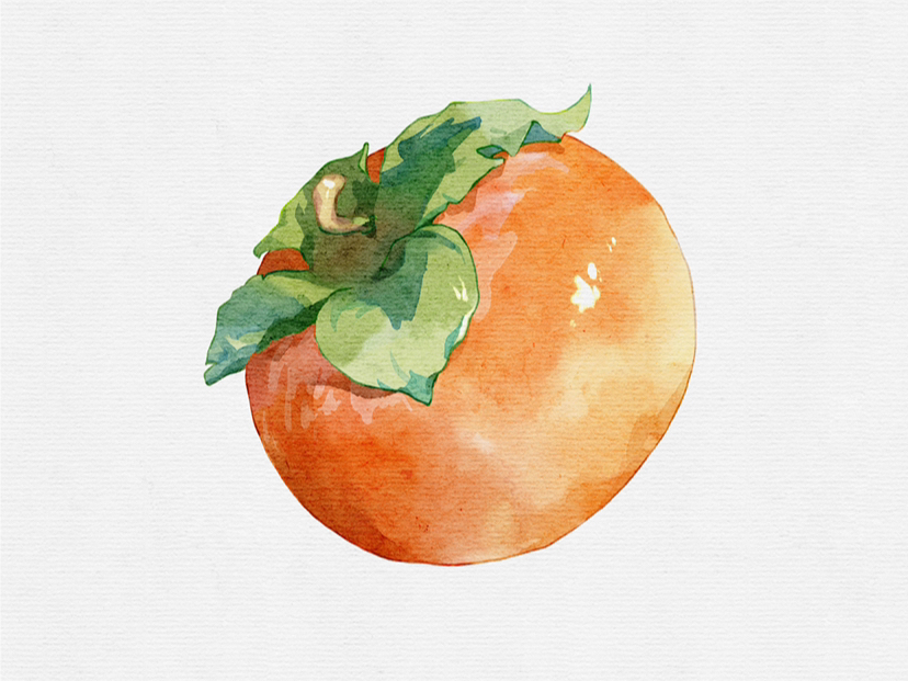 ipad画只柿子_团子ATA-站酷ZCOOL