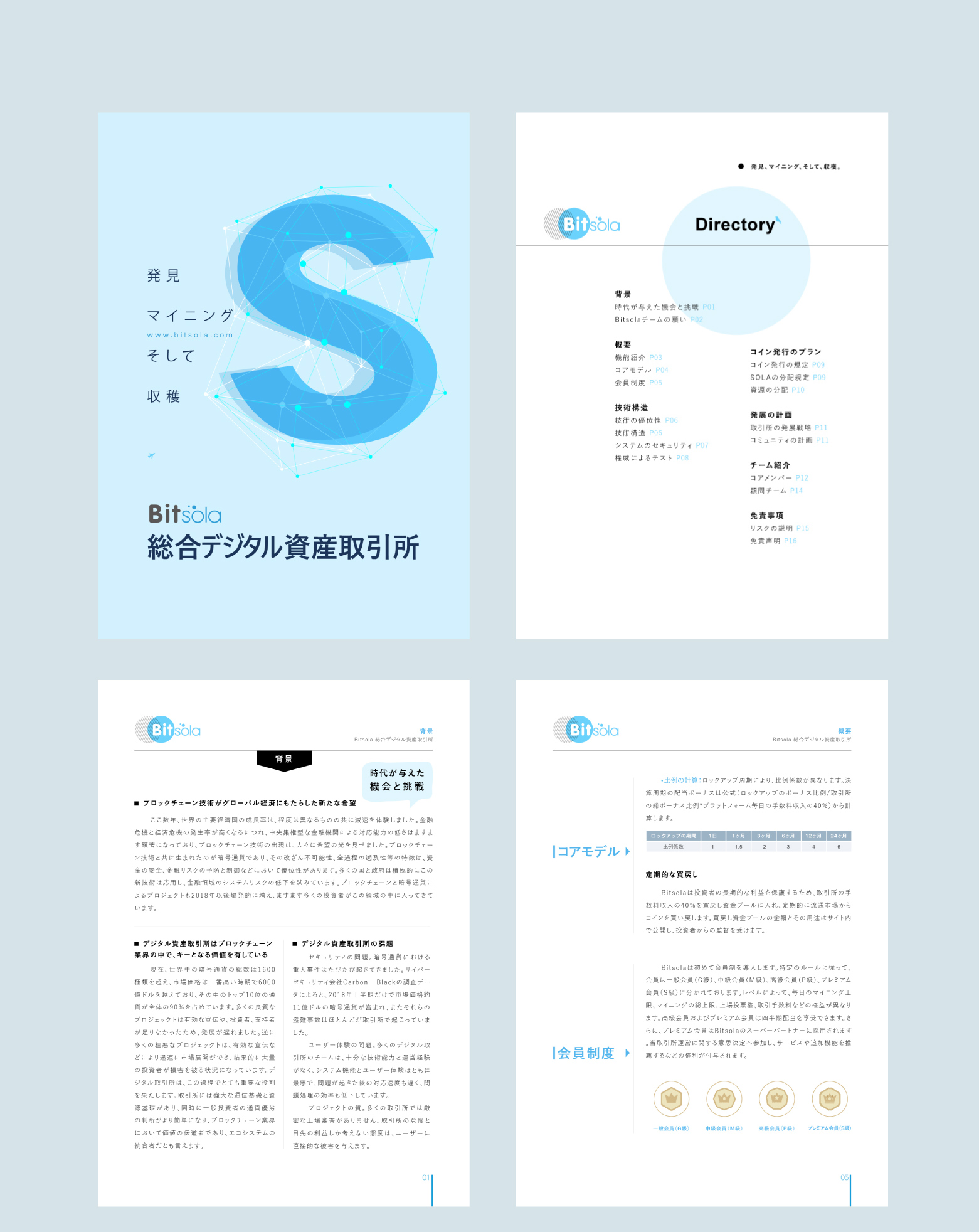 bitsola白皮书设计_路遥0302-站酷ZCOOL