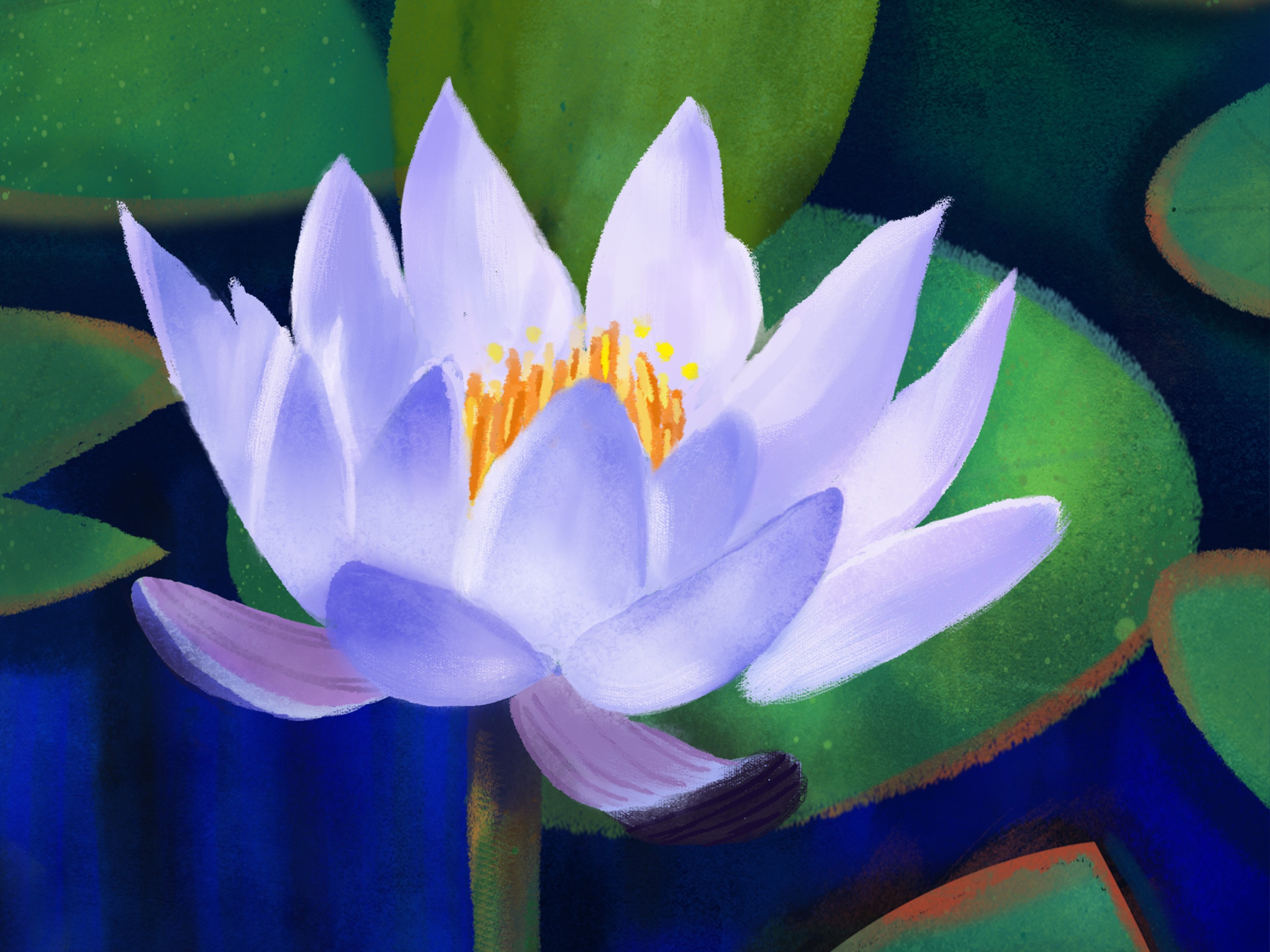 板绘夏日睡莲_njmumetc-站酷ZCOOL