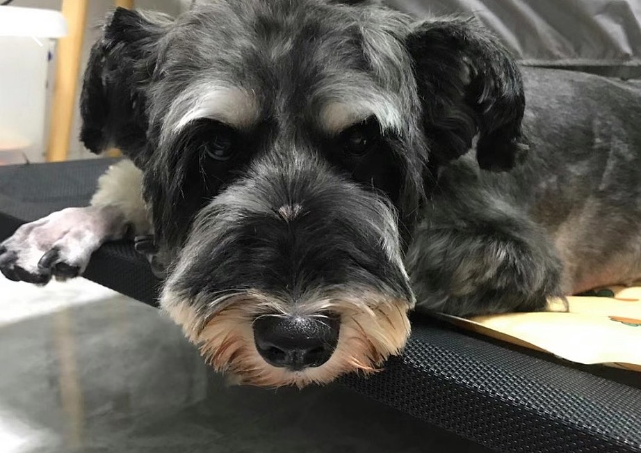 国潮插画_aye阿耶-站酷ZCOOL