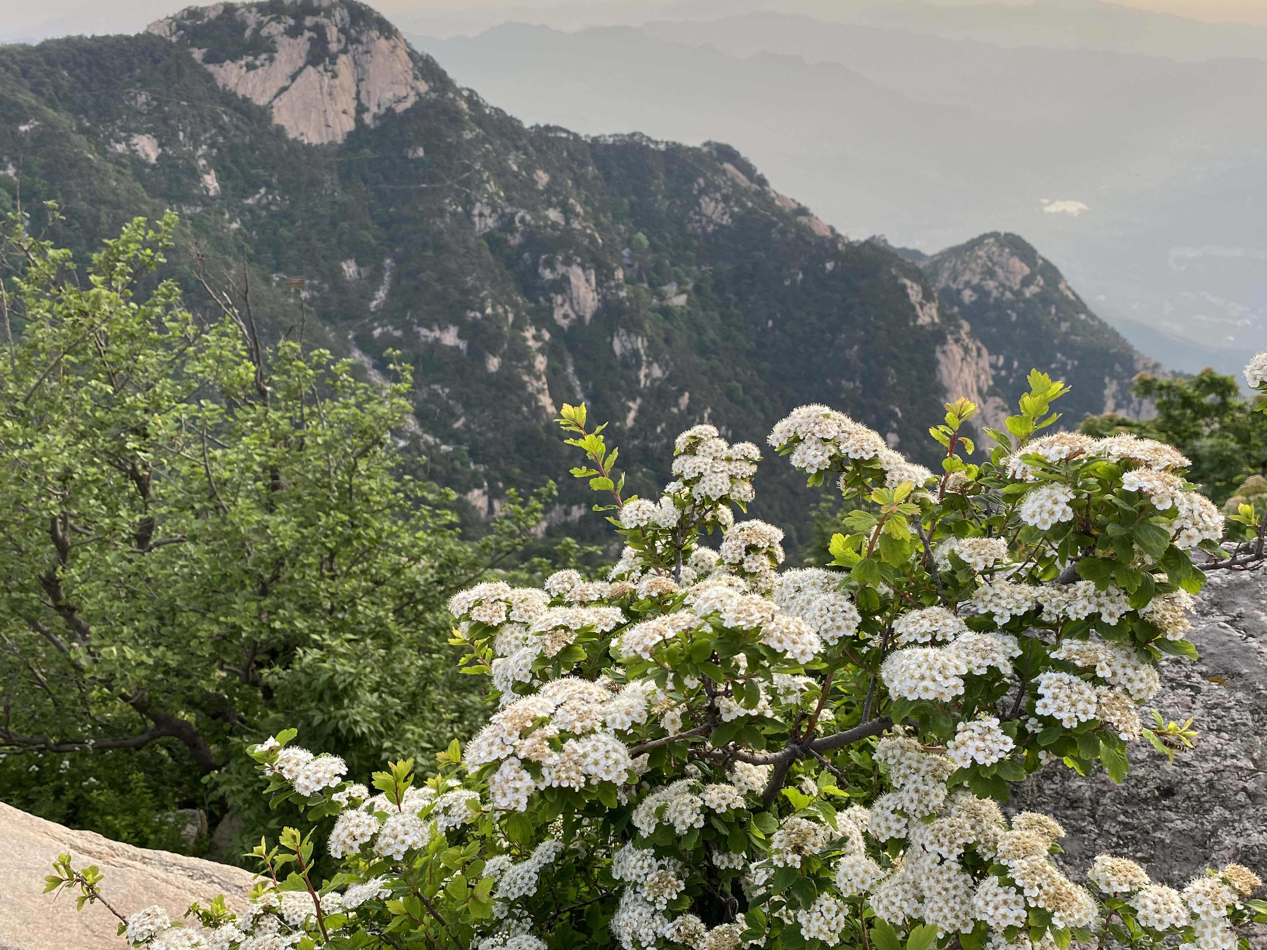 泰山风光_孜然yuan子-站酷ZCOOL