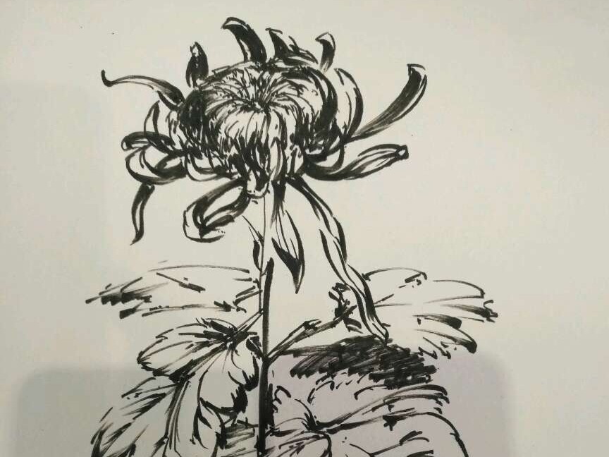 FAFA2_Samcat1947-站酷ZCOOL