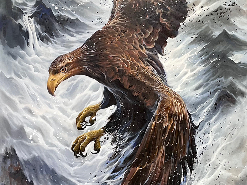 鹰的重生_逅山亮-站酷ZCOOL