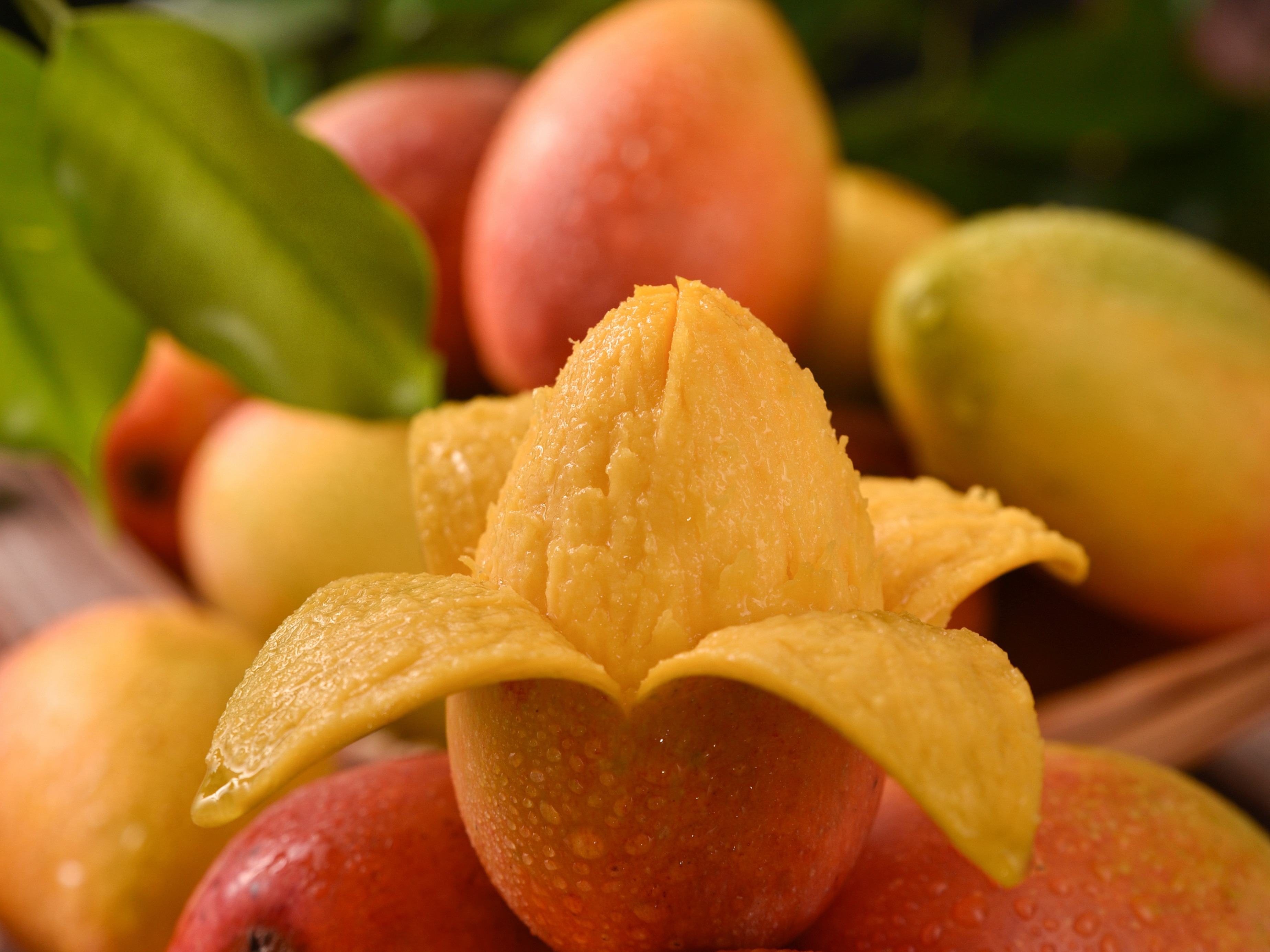 芒果_Z20385617-站酷ZCOOL