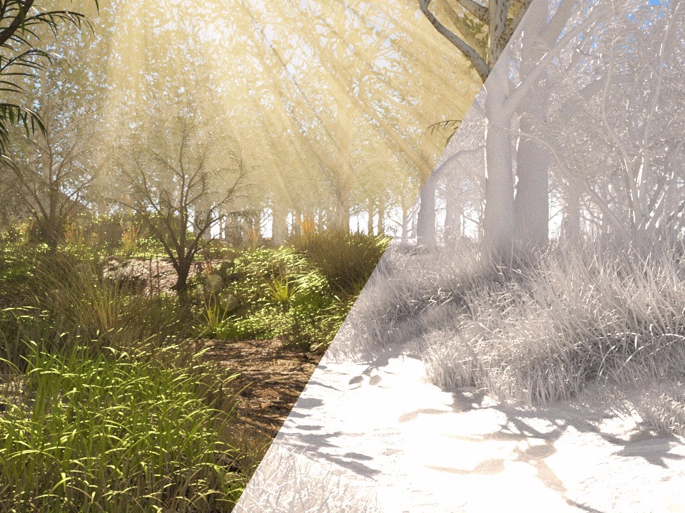 森林小径_久思_follit-站酷ZCOOL