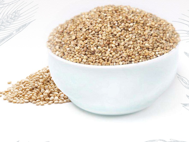 默伽-藜麦_pollchan-站酷ZCOOL