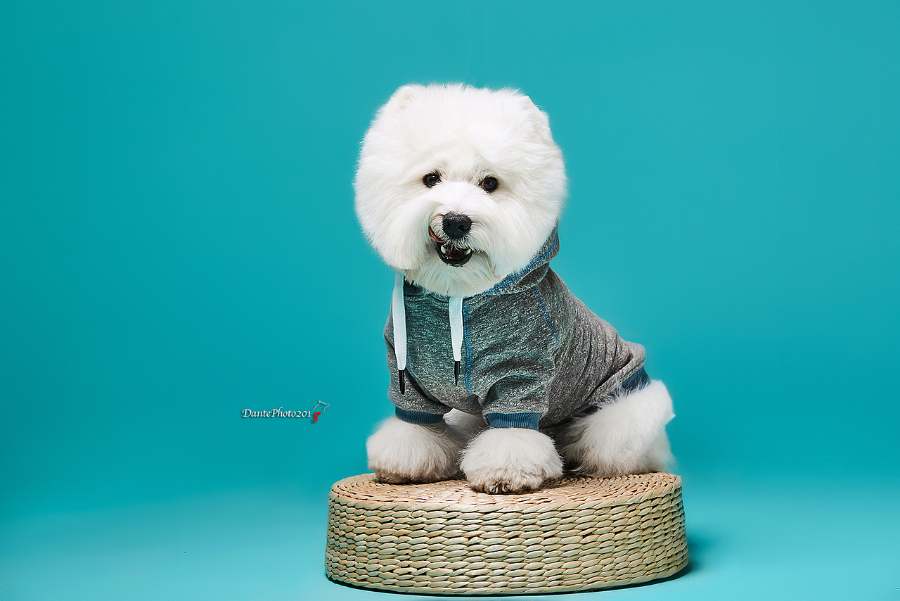 Docga couture fall winter2018 下半部分_dantephoto-站酷ZCOOL