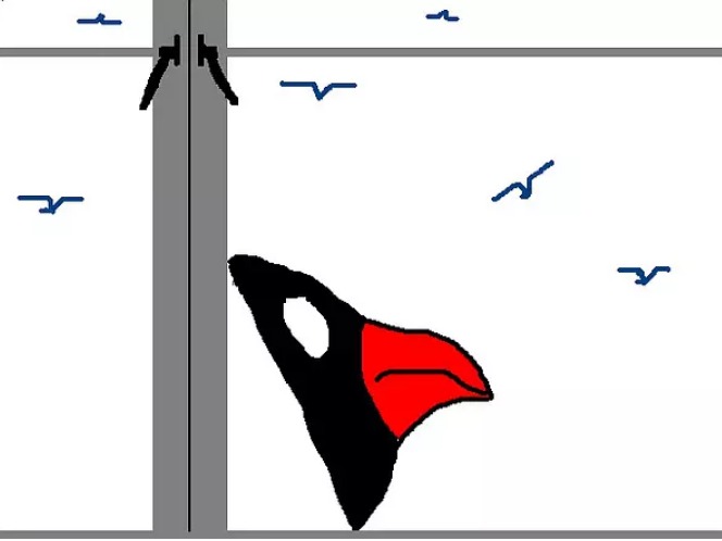 随手3_lollopy-站酷ZCOOL