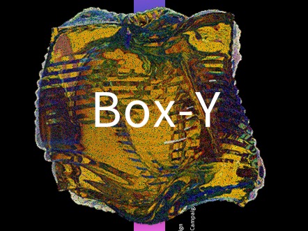 Box_庭院开满茉莉-站酷ZCOOL