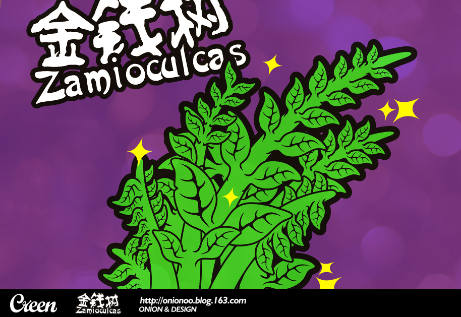金钱树-ZAMIOCULCAS_onionoo-站酷ZCOOL