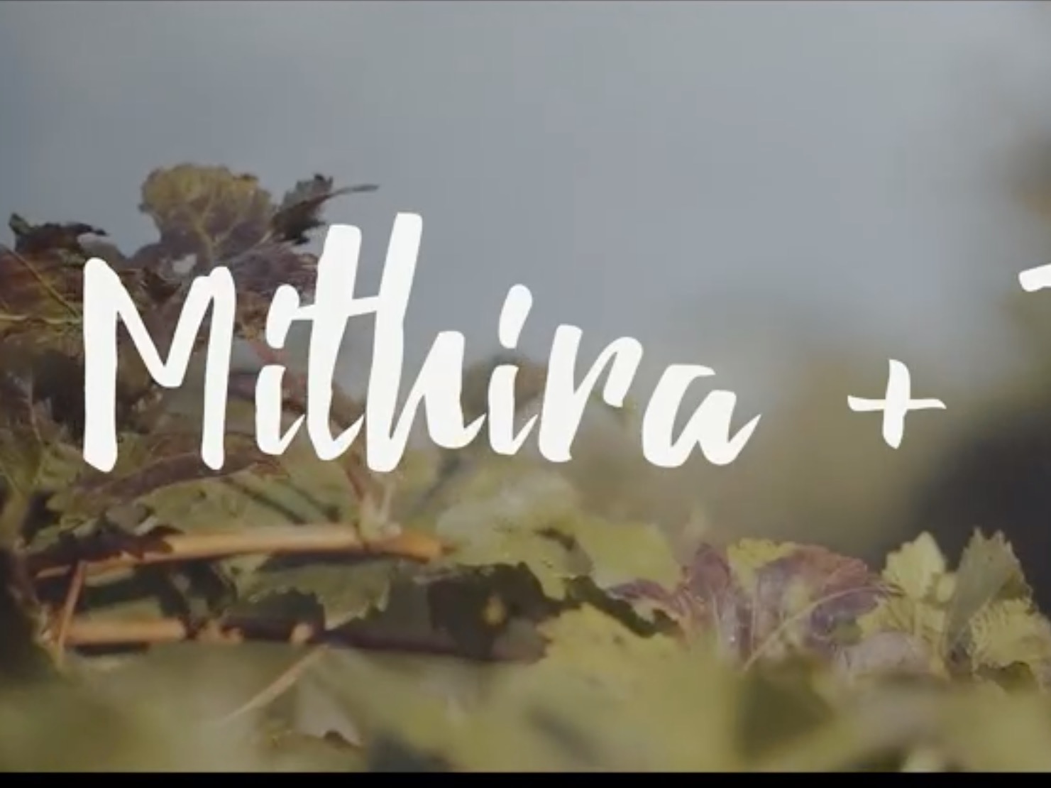 庄园婚礼video_Designer_何呵呵-站酷ZCOOL