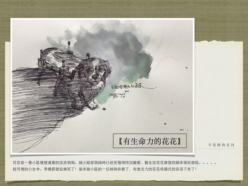 【可愛動物系列】_addysoho-站酷ZCOOL