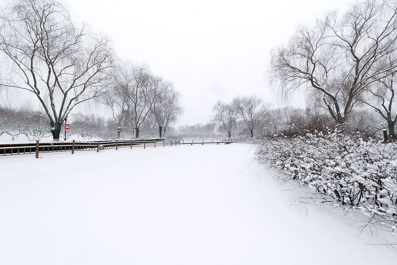 2022春雪_zhao_c_l-站酷ZCOOL