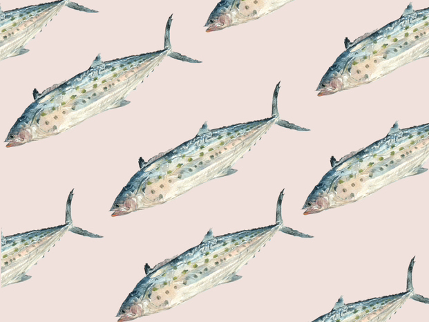 咸鱼翻身_昆虫白vava-站酷ZCOOL