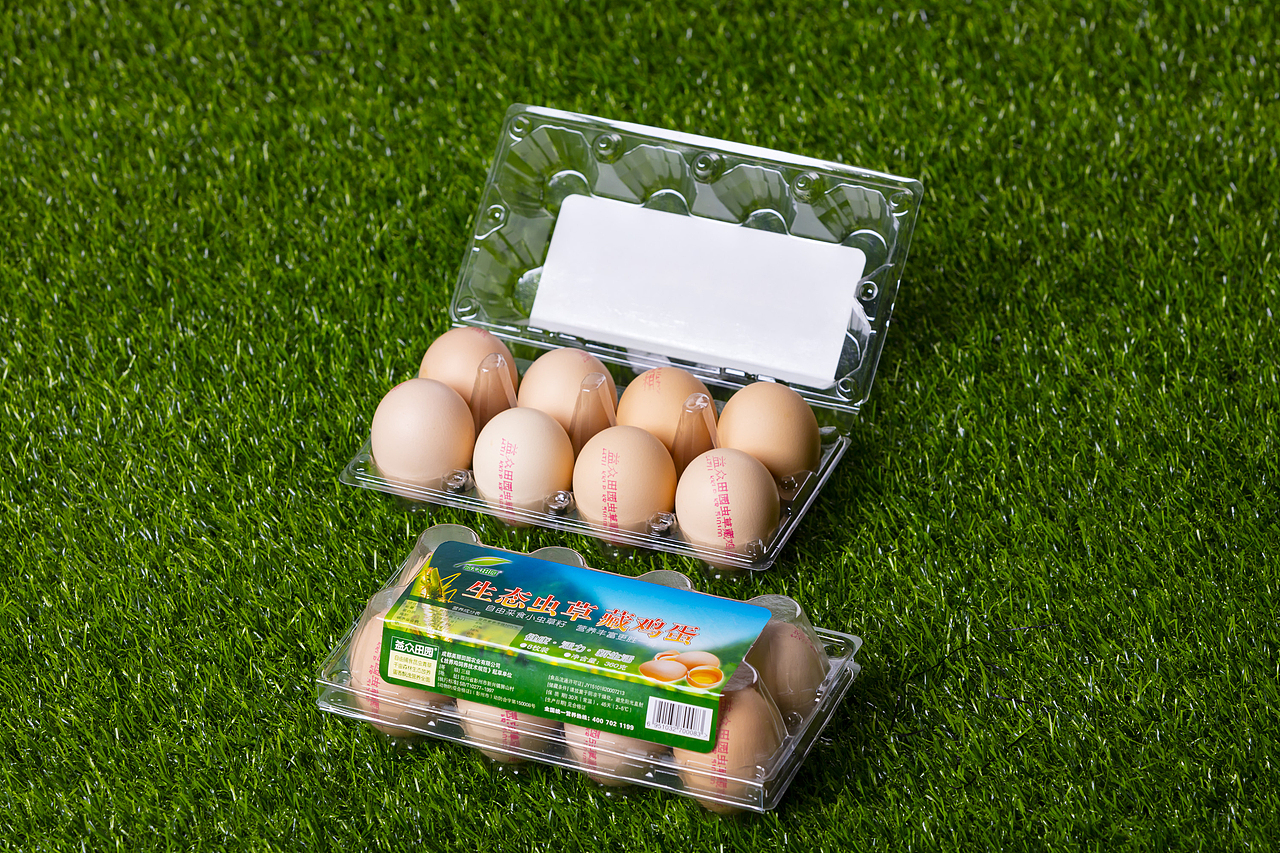 鸡蛋_Rivasky-站酷ZCOOL