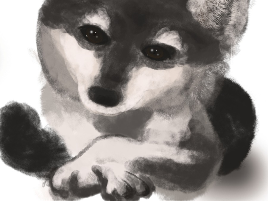 阿拉_是刘biubiu啊-站酷ZCOOL