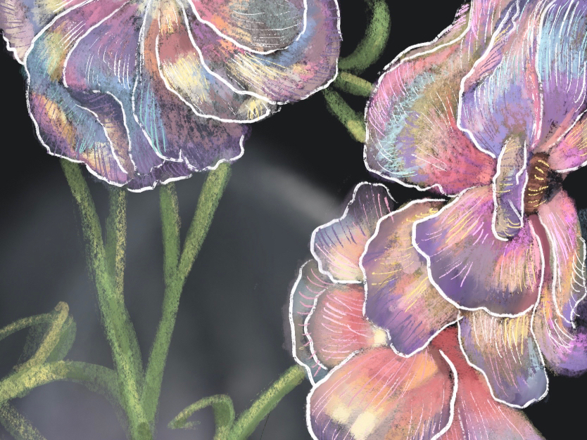 花卉_Zion_17-站酷ZCOOL