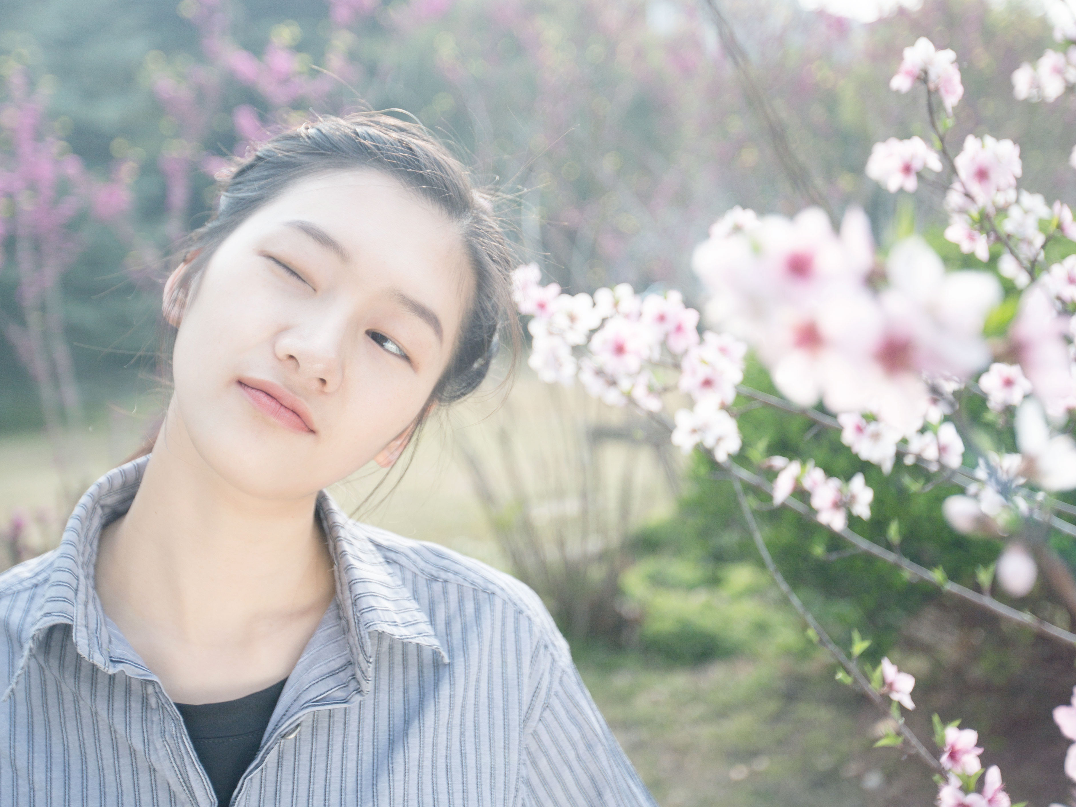 花满枝头_BOSSZHUO-站酷ZCOOL