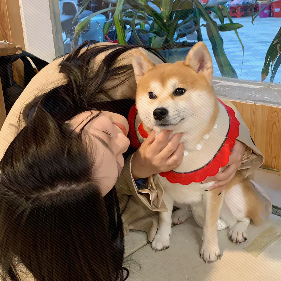 Zs小妍个人主页_其他设计爱好者-站酷ZCOOL