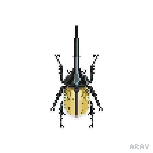 昆虫记·独角仙图鉴P1_Aray浩一-站酷ZCOOL