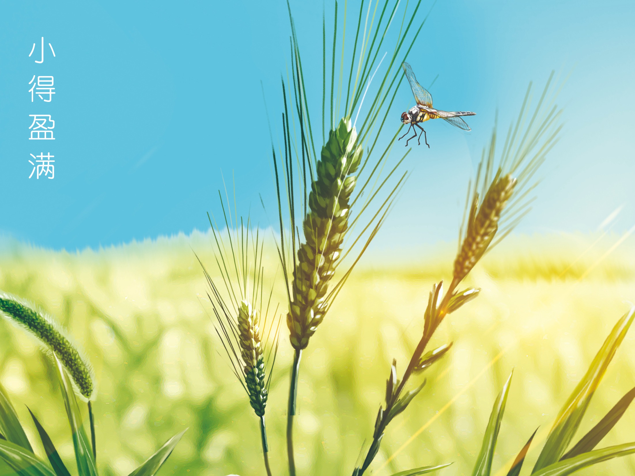 极简-小满_Om丶余木-站酷ZCOOL