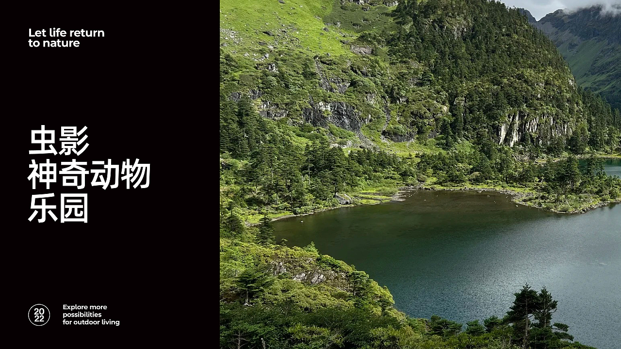 虫影BUG HUG-品牌升级-户外露营_2C4Design-站酷ZCOOL