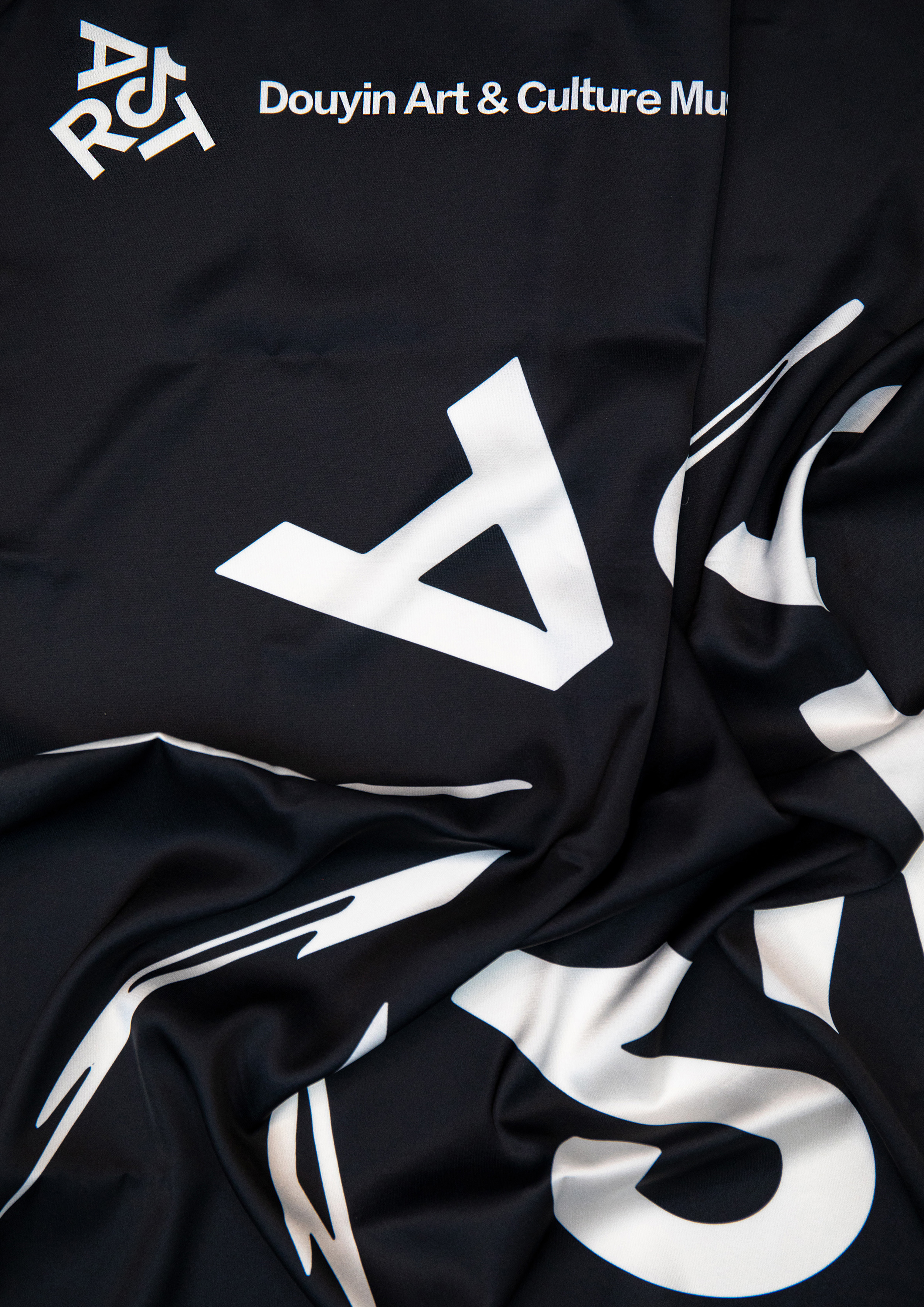 DOUYIN ART抖音艺术 _lyd李一丹-站酷ZCOOL