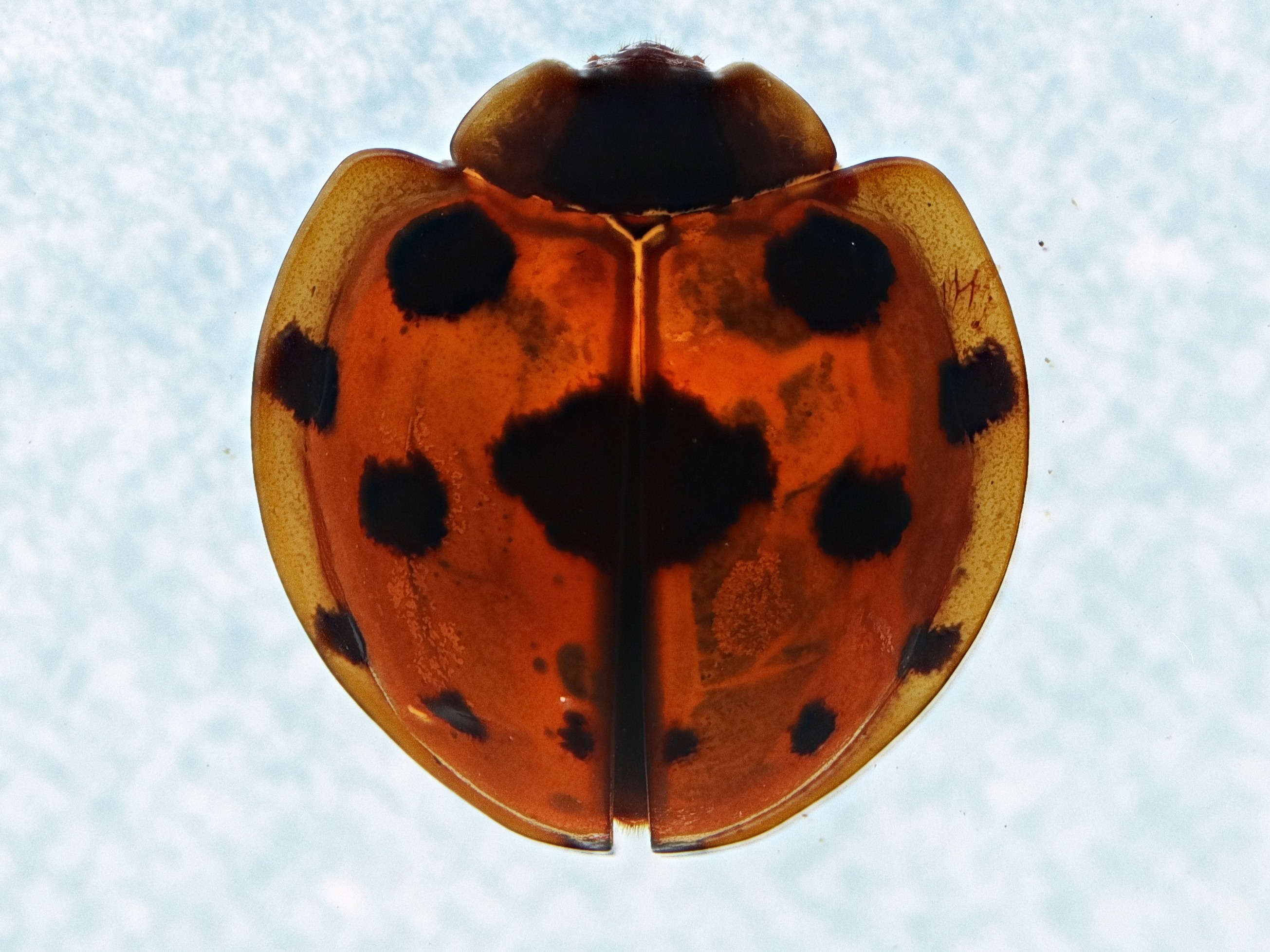 佳能850D相机拍摄/堆叠合成_百事小甜饼1030-站酷ZCOOL