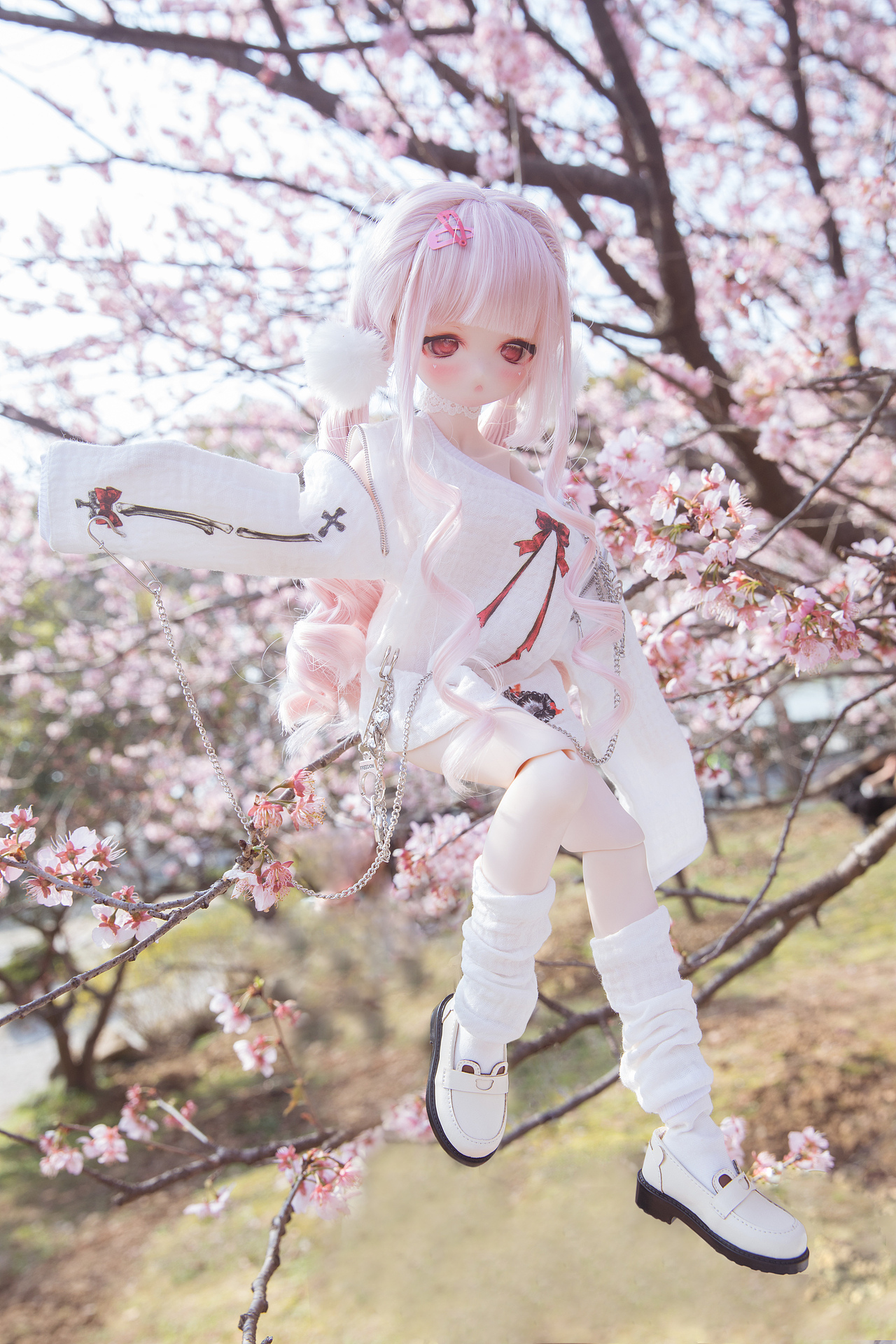 春樱 | bjd摄影_唐心_摄影修行中-站酷ZCOOL