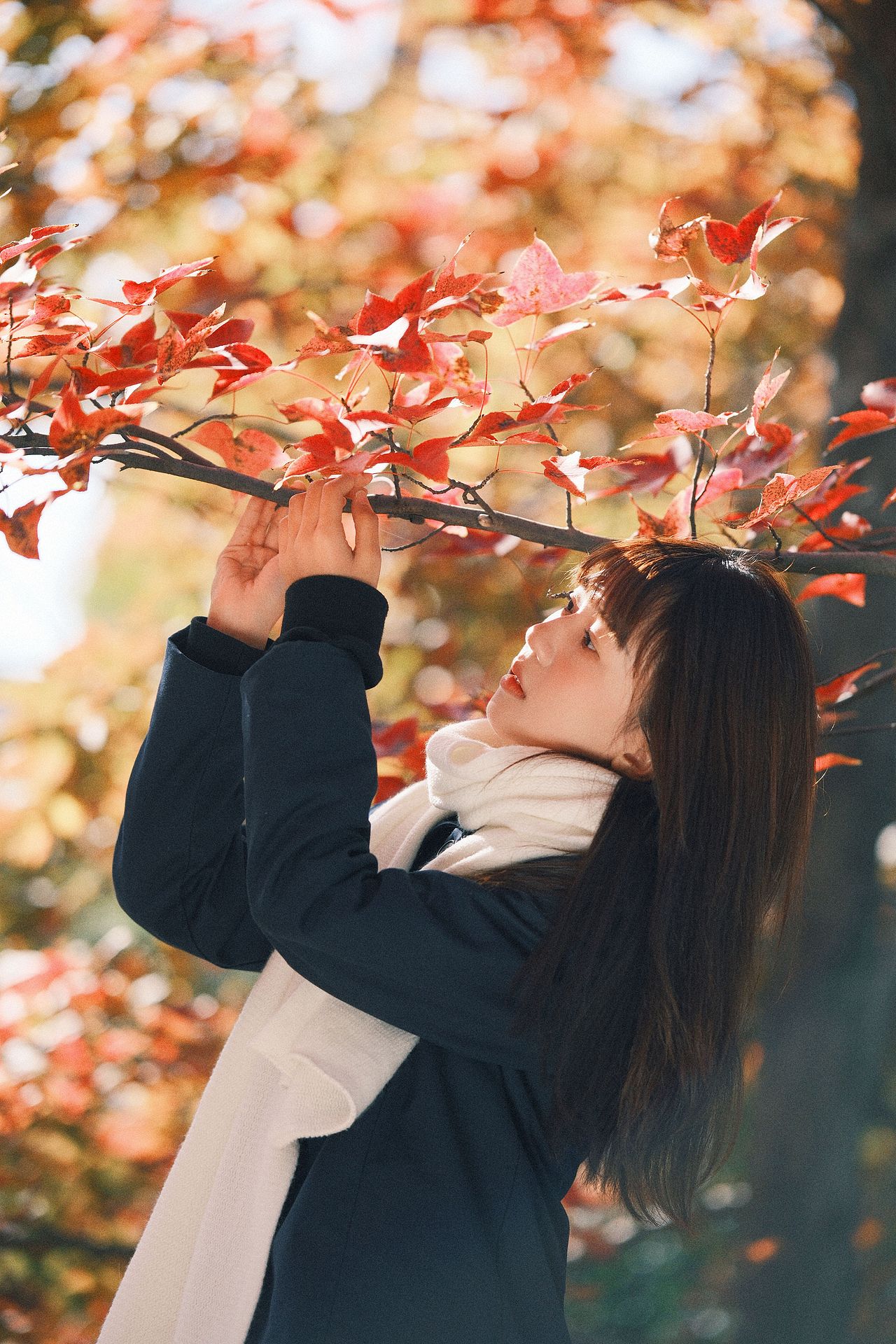 🍁这个世界没有甜妹真的不行!_瑞克Photo-站酷ZCOOL