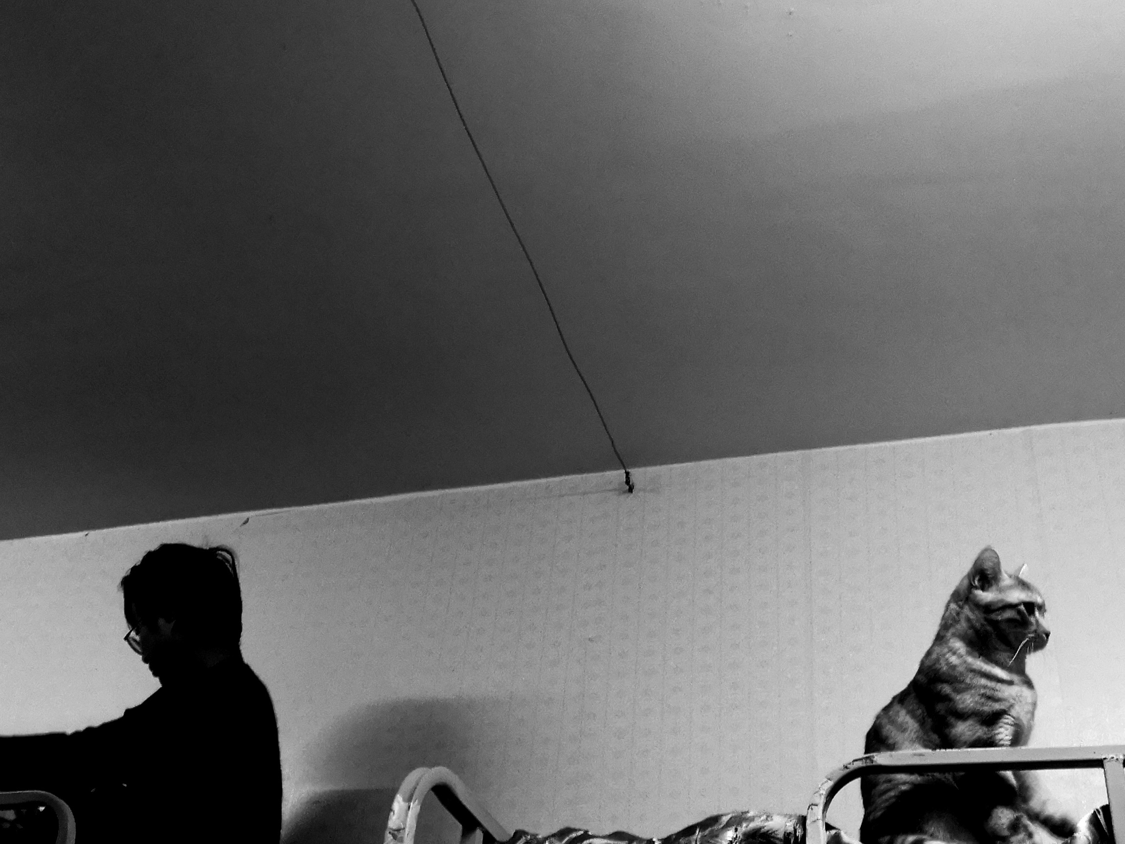 我与猫_444菊爽-站酷ZCOOL