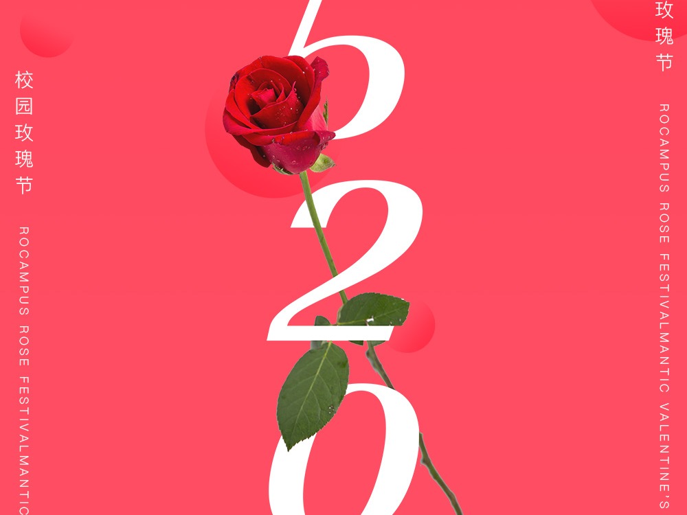 520玫瑰节【公众号长图】_小石灰与小石子-站酷ZCOOL