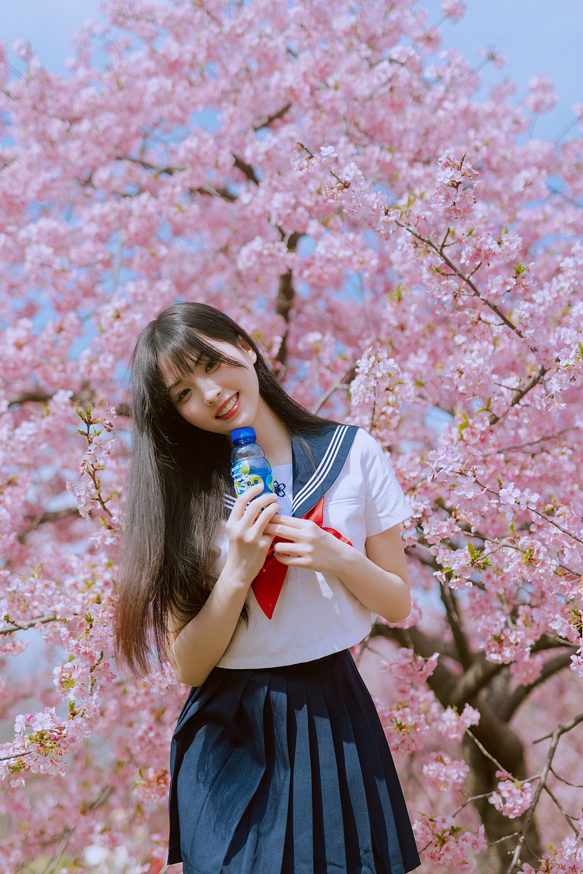 辰山樱花🌸_宝藏摄影JY-站酷ZCOOL