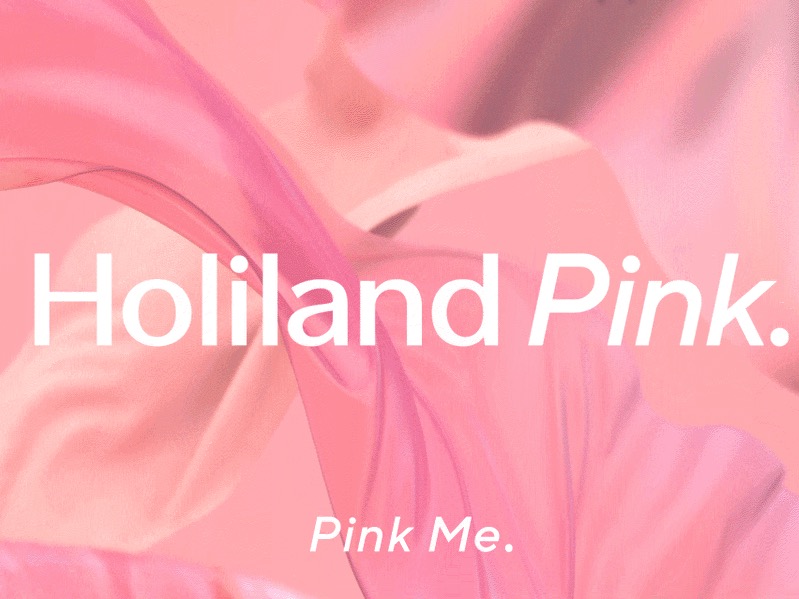 Holiland pink 动态视觉_好利来-站酷ZCOOL