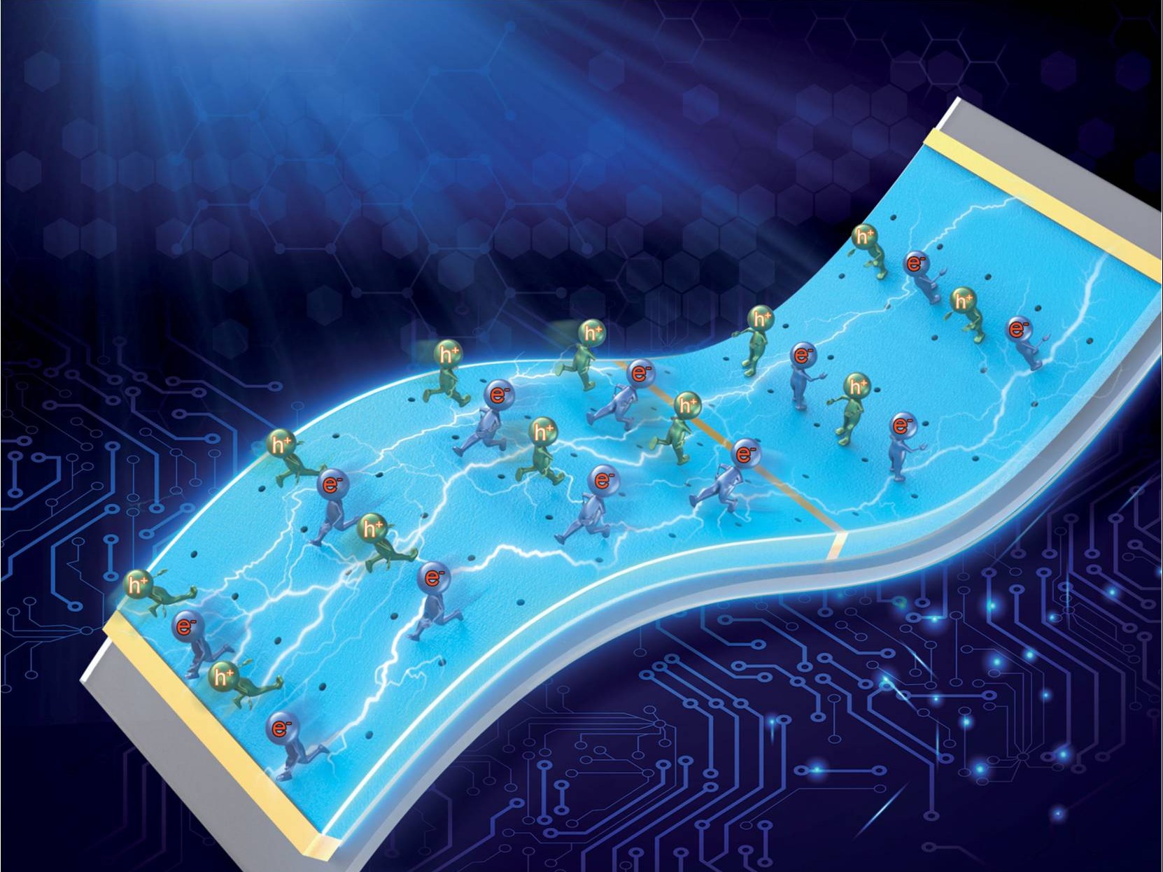 杂志封面设计科研画图TOC示意图学术文章配图SCI绘图_红烧鲈鱼-站酷ZCOOL