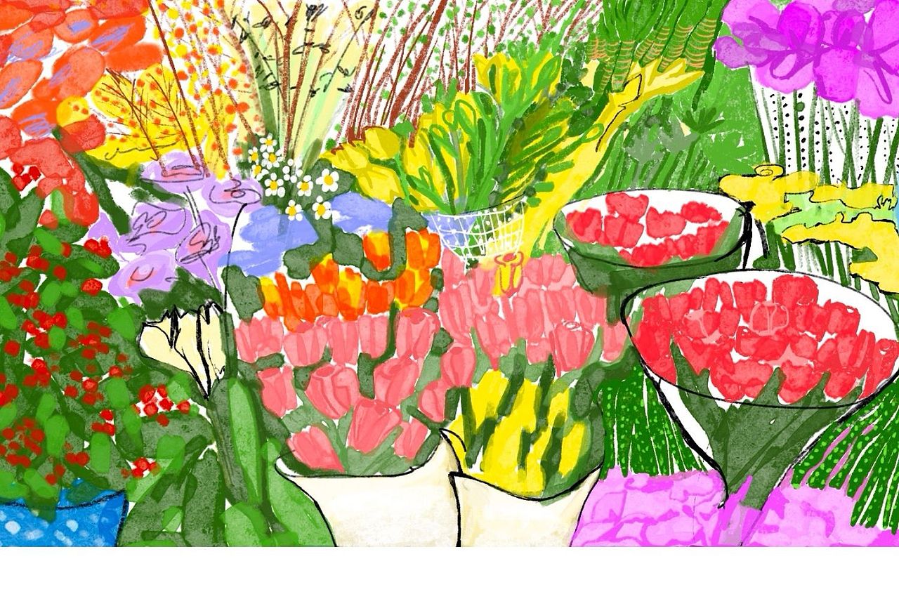 花鸟市场_小啾啾_QI-站酷ZCOOL