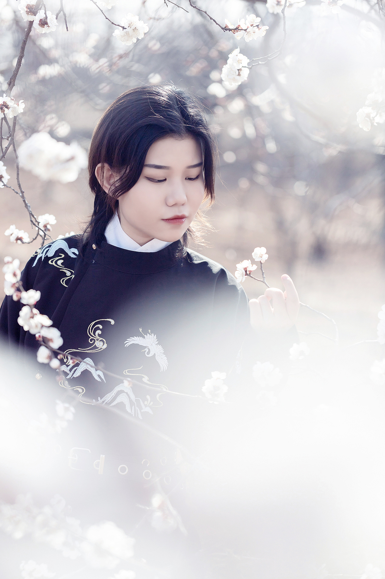 杏园春_pear1103-站酷ZCOOL